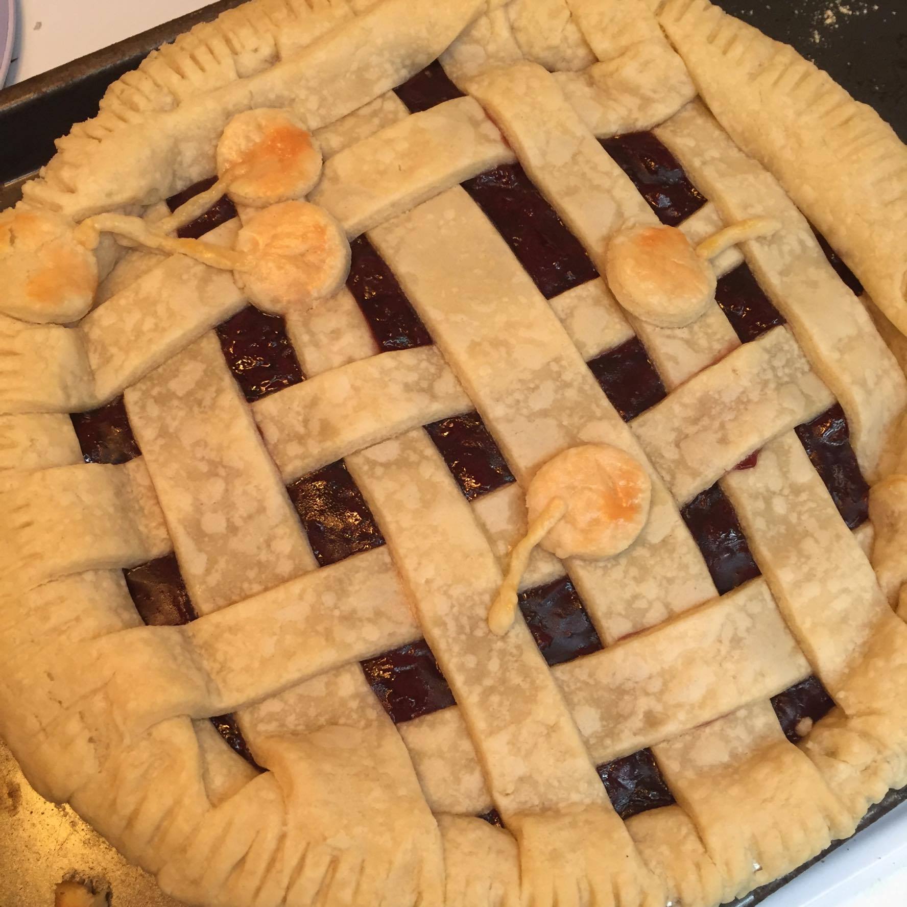 Pie Competition and Jacket Giveaway! – Stitching with Elli